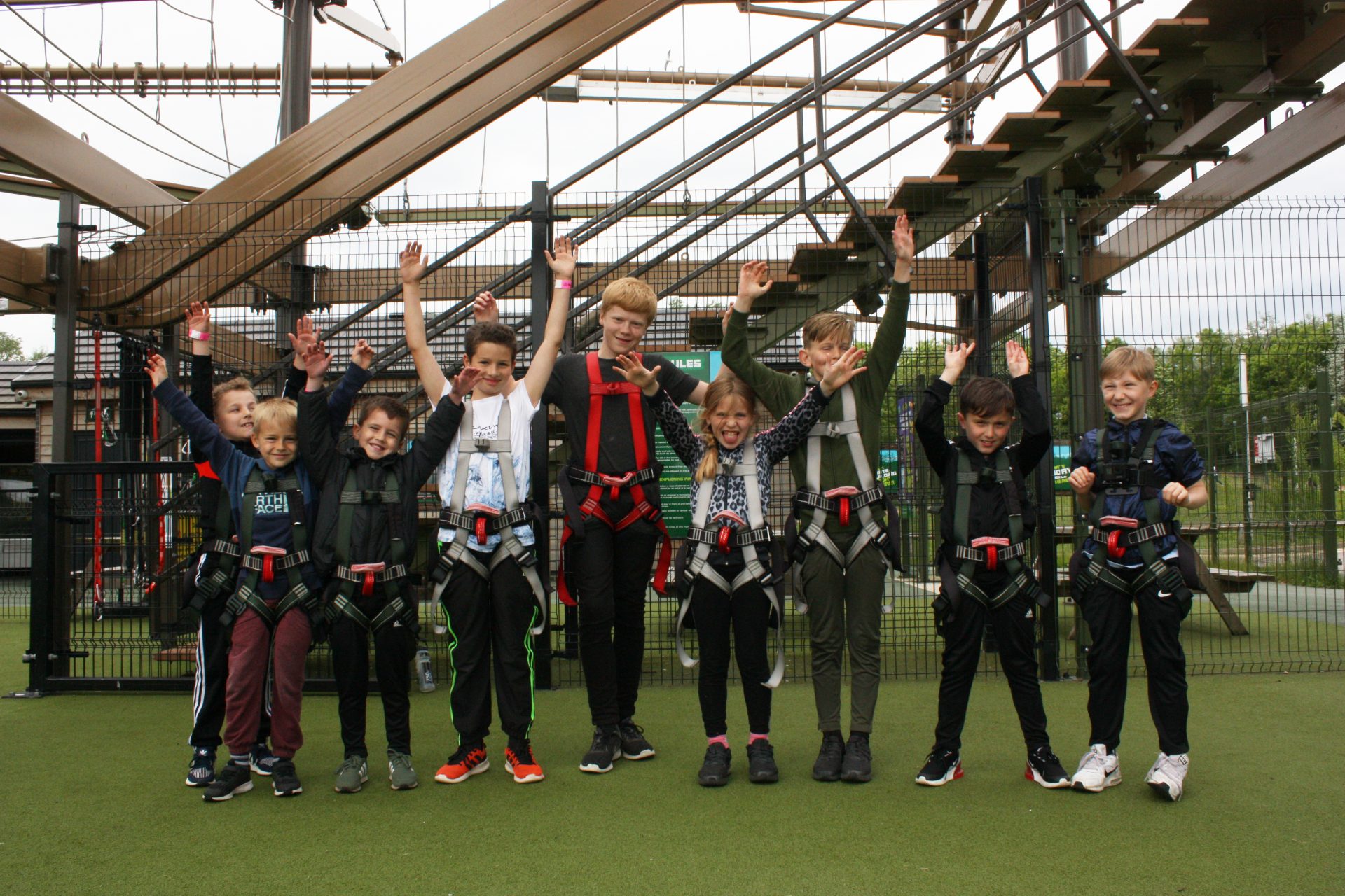 Air Trail - Schools & Groups - Tees Active